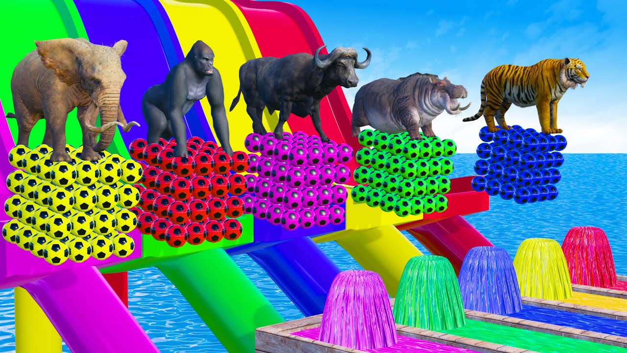 Long Slide Game With Elephant Gorilla Buffalo Hippopotamus Tiger - 3d ...