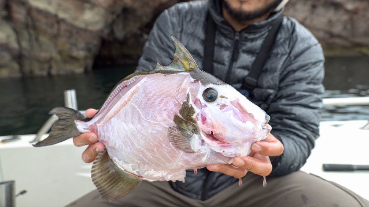 The Most Annoying Fish To Fillet - YouTube