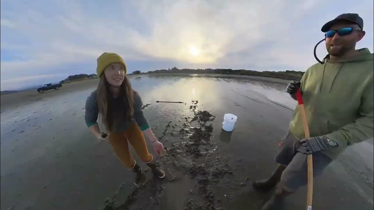 Cockle Clamming Humboldt Bay - YouTube