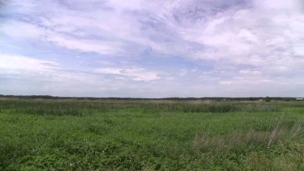 TURTLE VALLEY WILDLIFE AREA - YouTube