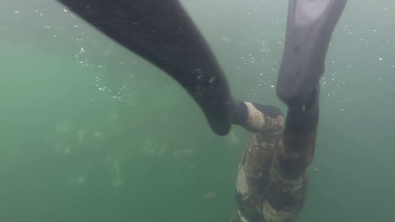 PNW Wreck Dive - YouTube