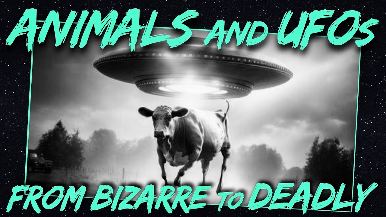 Animals and UFOs: From Bizarre to Deadly - YouTube