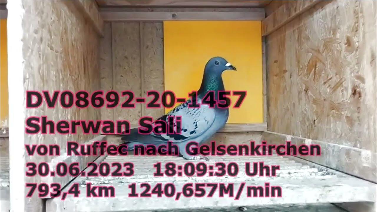 Sahli- Haas- Moese- Menges Ruffec 2023 - YouTube