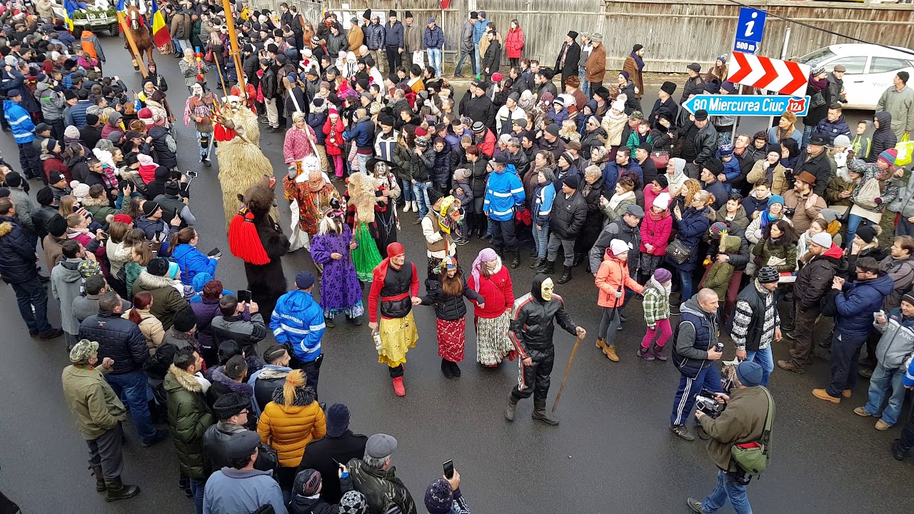 Ursii de la Comanesti Bacau 2017 in 4K - YouTube