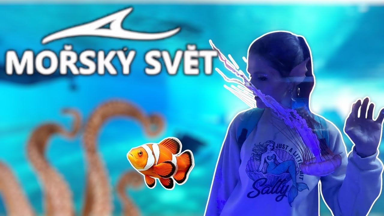 Mořský Svět Praha | Jenny Rinn - YouTube
