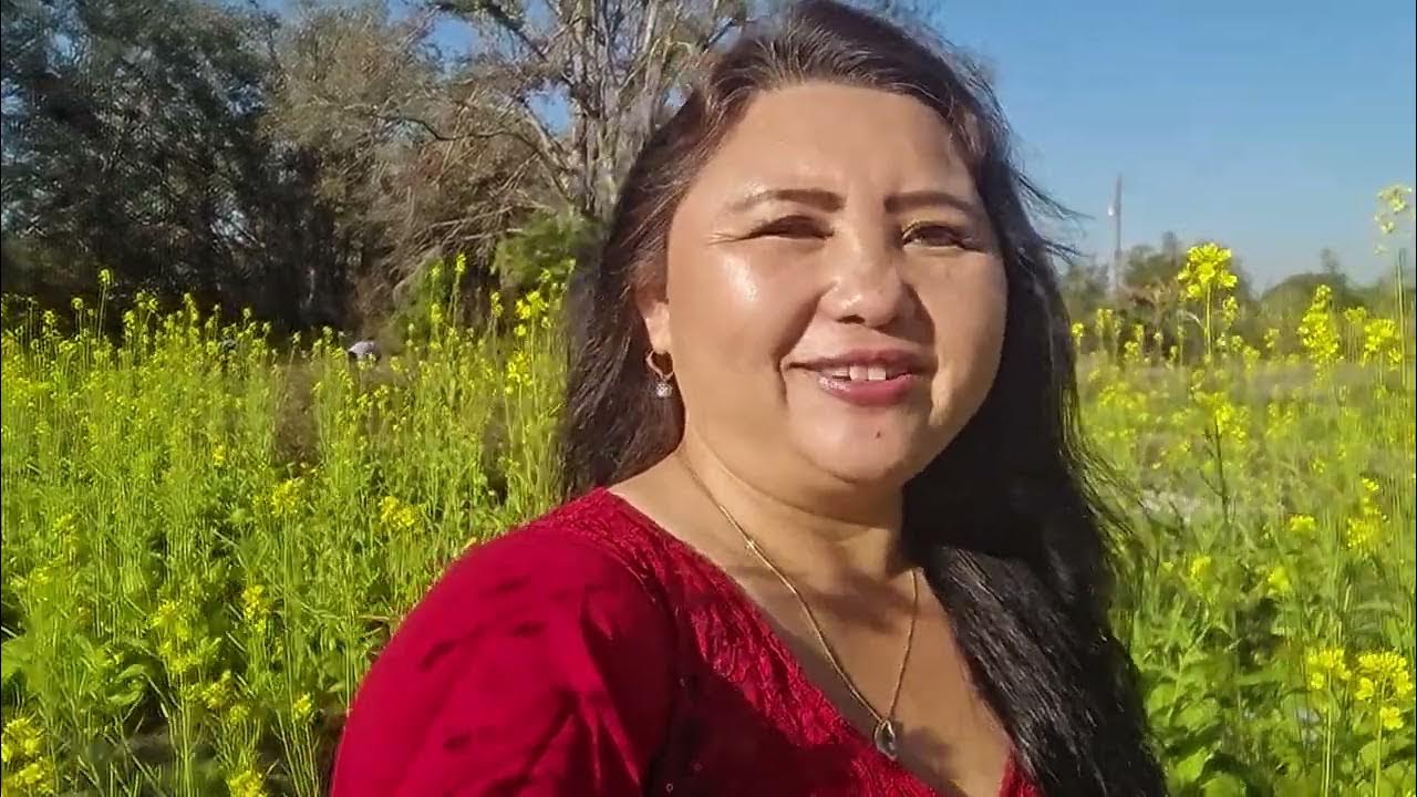 Tham txog Paj Lis lub pim kub. - YouTube