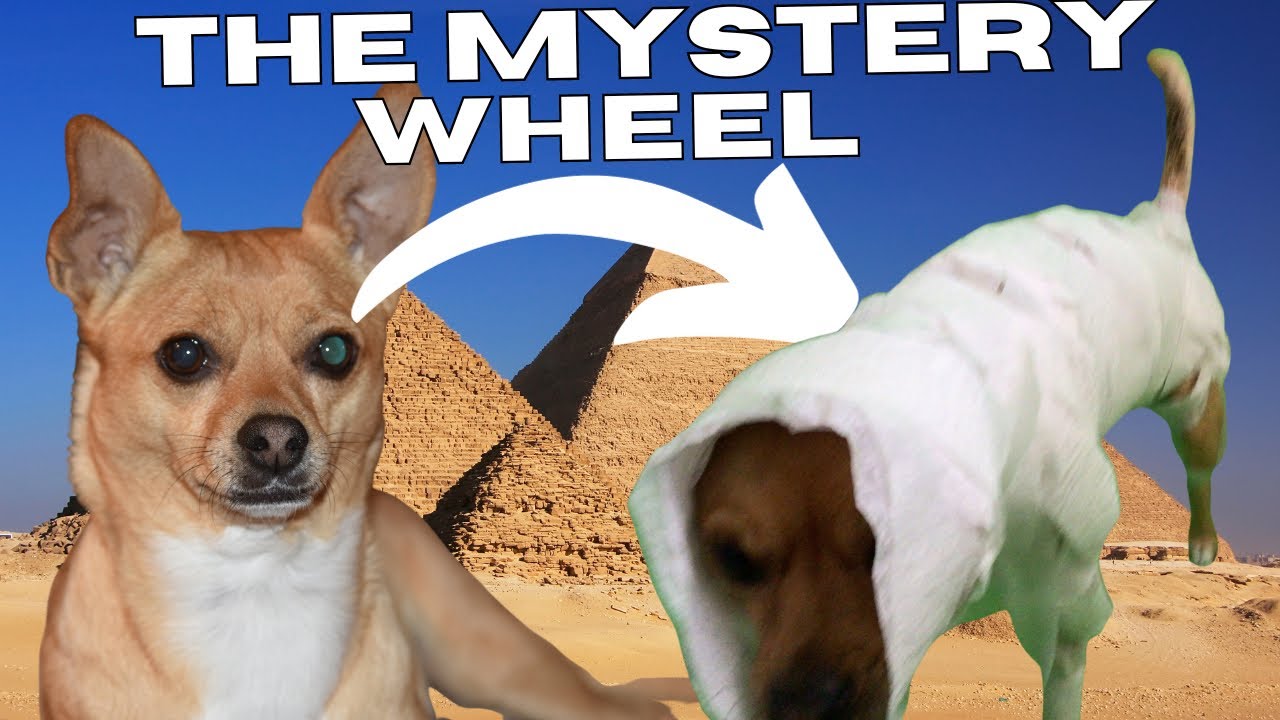 The Mystery Wheel: Episode 2+ announcement! - YouTube