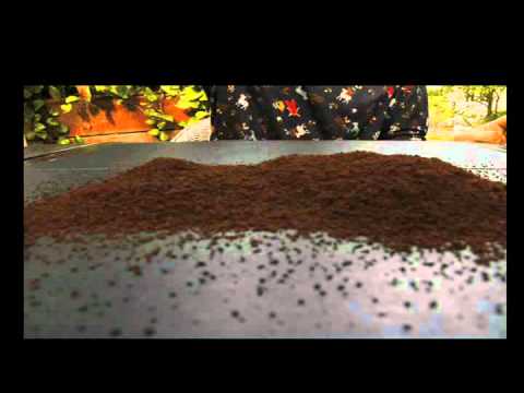 stop motion - promo video