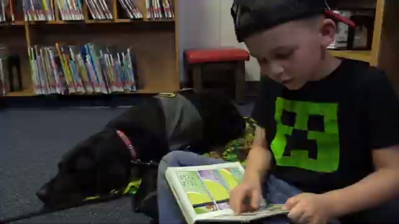 Read to Dog Program at Ledding Library - YouTube