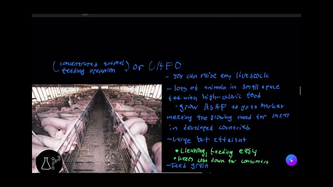 AP Environmental Science 5.7 Meat Production Methods - YouTube