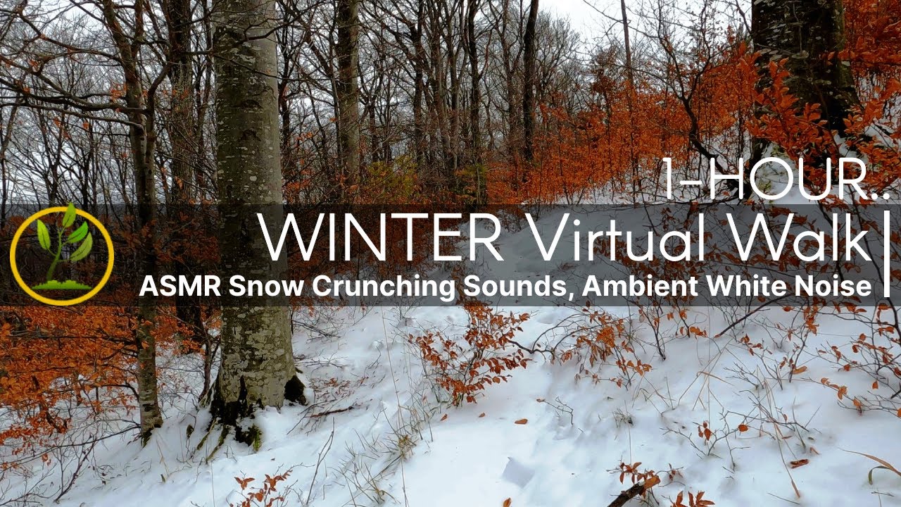 Virtual Winter Walk - ASMR Snow Crunching Sounds | Relaxing Crunchy ...