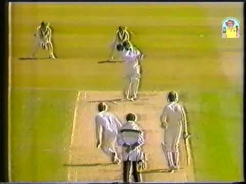 Pure disdain! Allan Lamb dismisses Steve Waugh with a sublime pull shot 1st Ashes Test Headingley 89