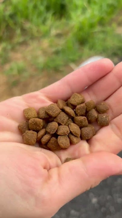 Elämän Järvi💙 #ярви #jarvy #ярви_корм #кормдлякошек #обзор_корма #обзор ...