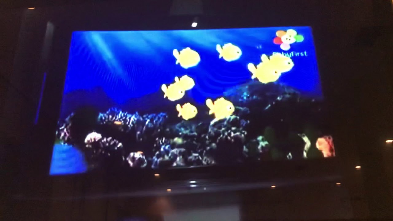 Scuba Dots eel - YouTube