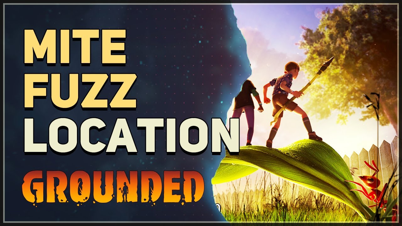 Mite Fuzz Location Grounded - YouTube