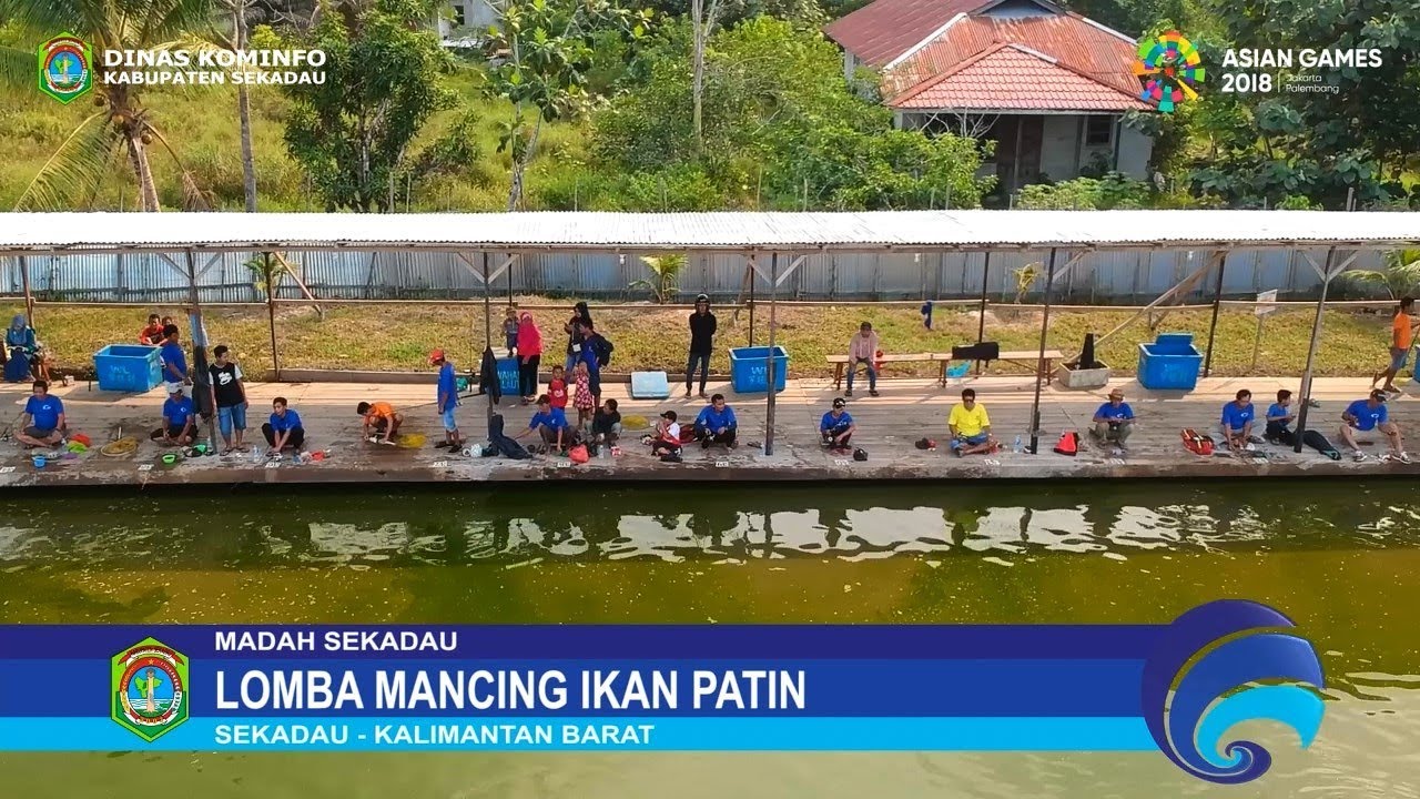 Lomba Mancing Ikan Patin - YouTube