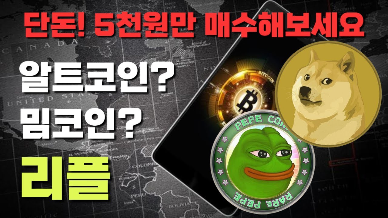 리플코인대응전략 리플차트분석리플전망리플목표가리플호재리플매도가 Youtube