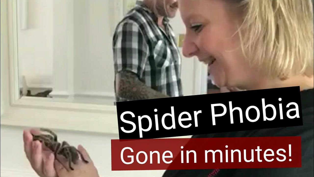 From a severe spider phobia to handling a tarantula (giant spider ...