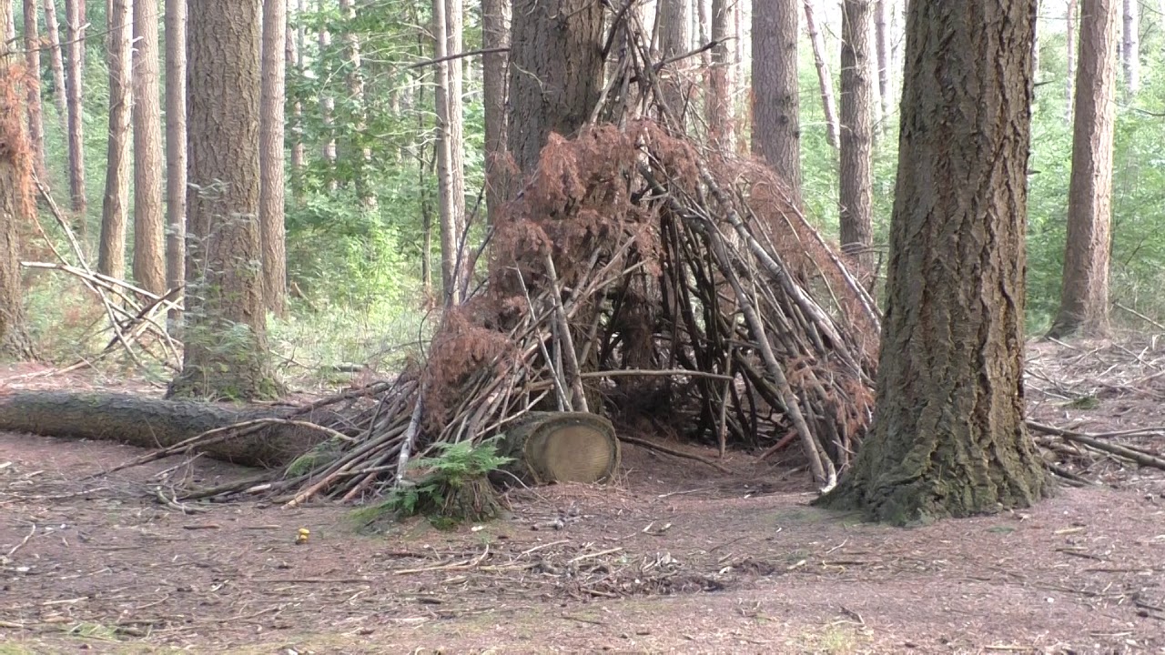 Hut in het bos - YouTube