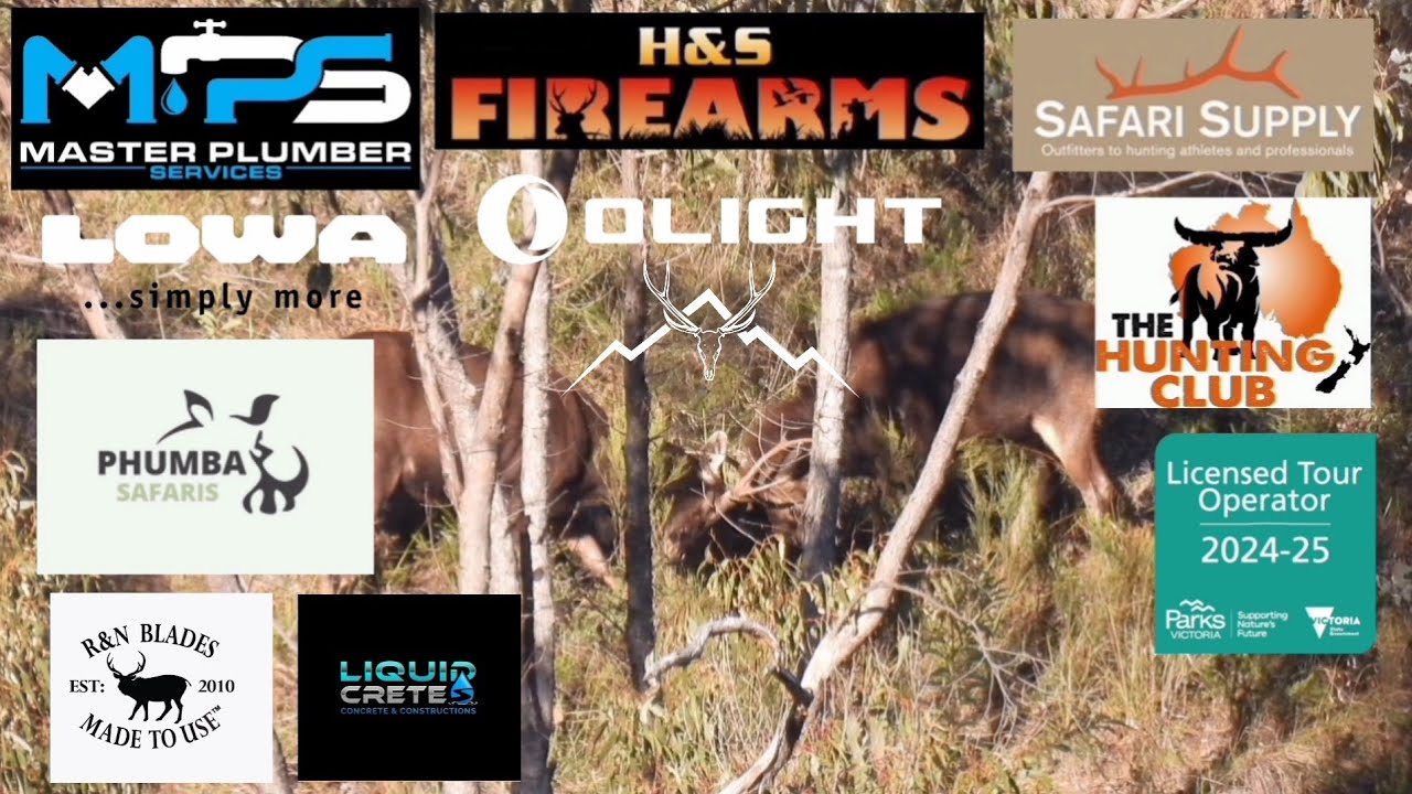 14kms into the wilderness, searching for trophy Sambar stags. #hunting ...
