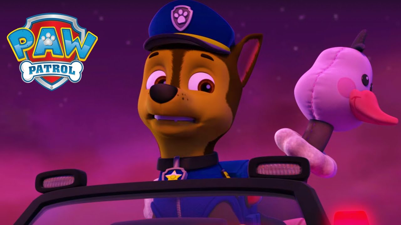 Chase Takes Flight! - PAW Patrol Compilation - Cartoons for Kids - YouTube