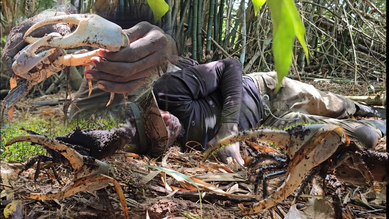 THE WORLD MOST DANGEROUS WAY OF HUNTING MUD CRAB IN THE /EVERGLADES ...