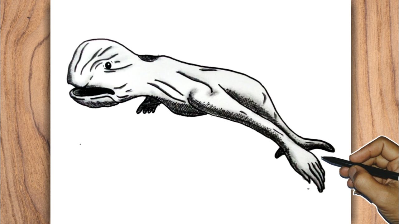 How to Draw Ningen - YouTube