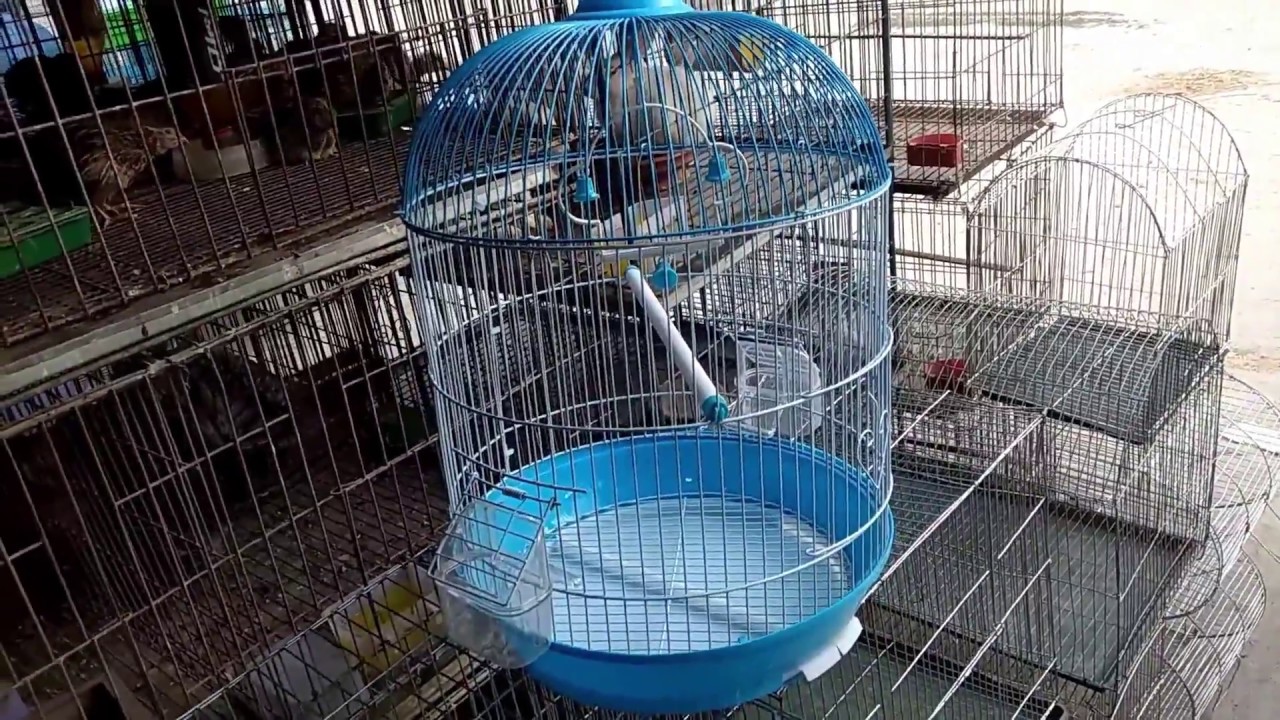 জানুন বিভিন্ন ধরনের পাখির খাঁচার দাম//Pakhir Khacha//Birdcage Price in ...