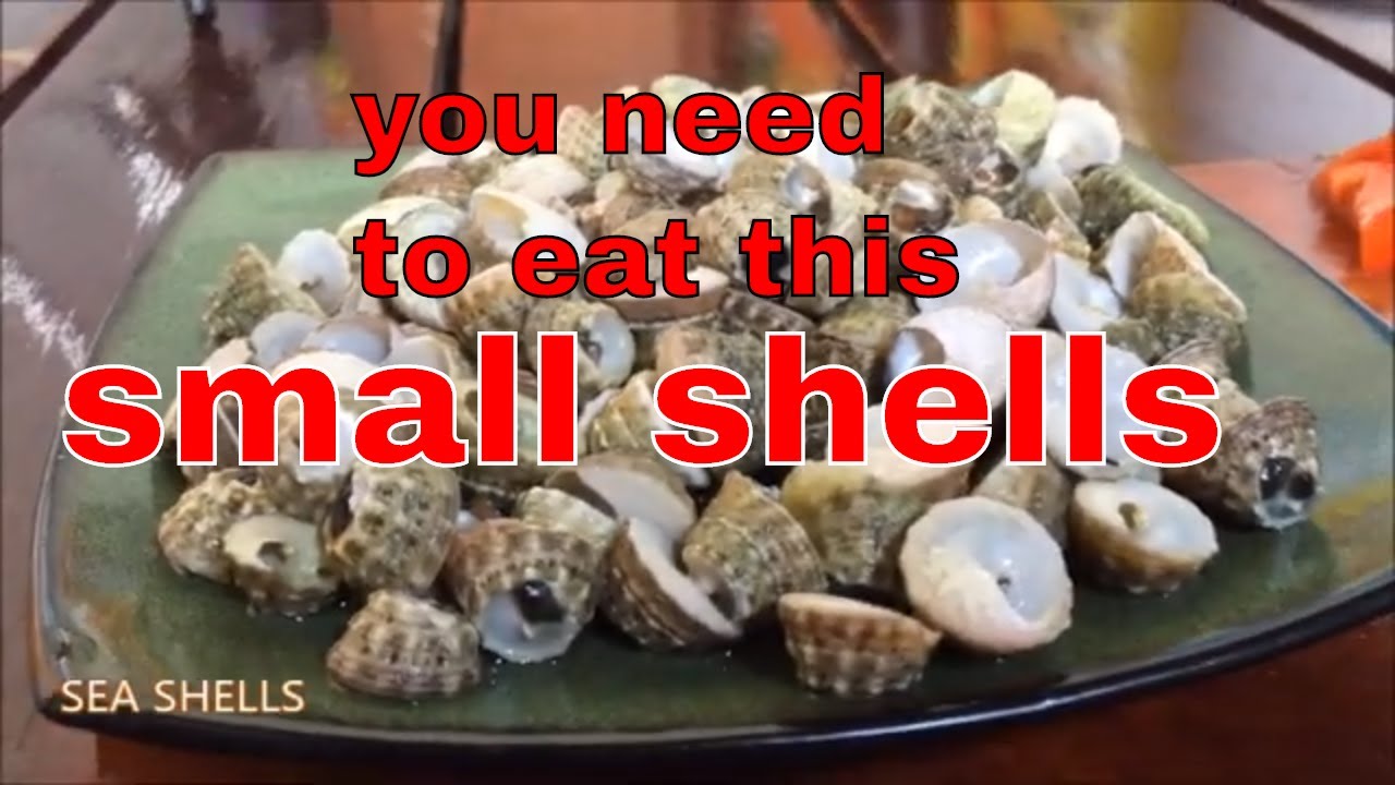 Seashells Food - YouTube
