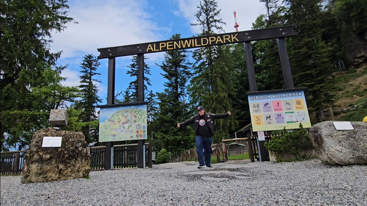 Alpenwildpark Pfänder von Pfänder - Der Berg am Bodensee in Österreich ...