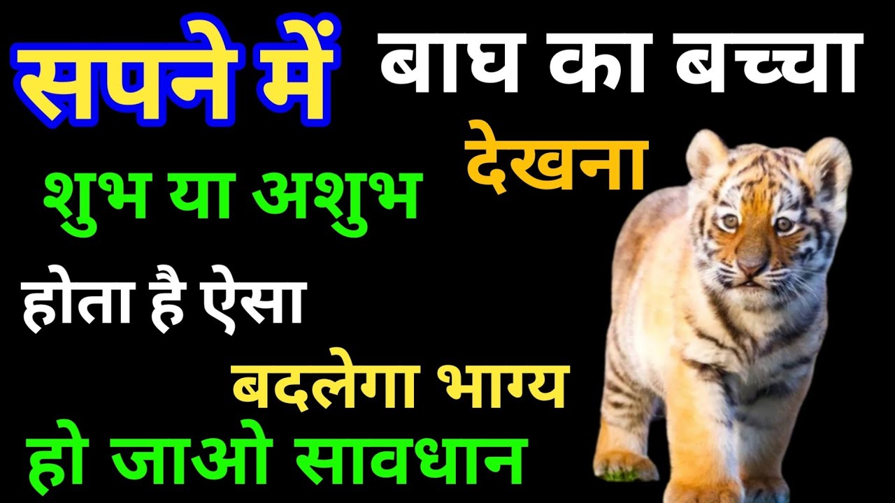 Sapne Me Bagh Ka Bacha Dekhna । सपने में बाघ का बच्चा देखना । Seeing ...
