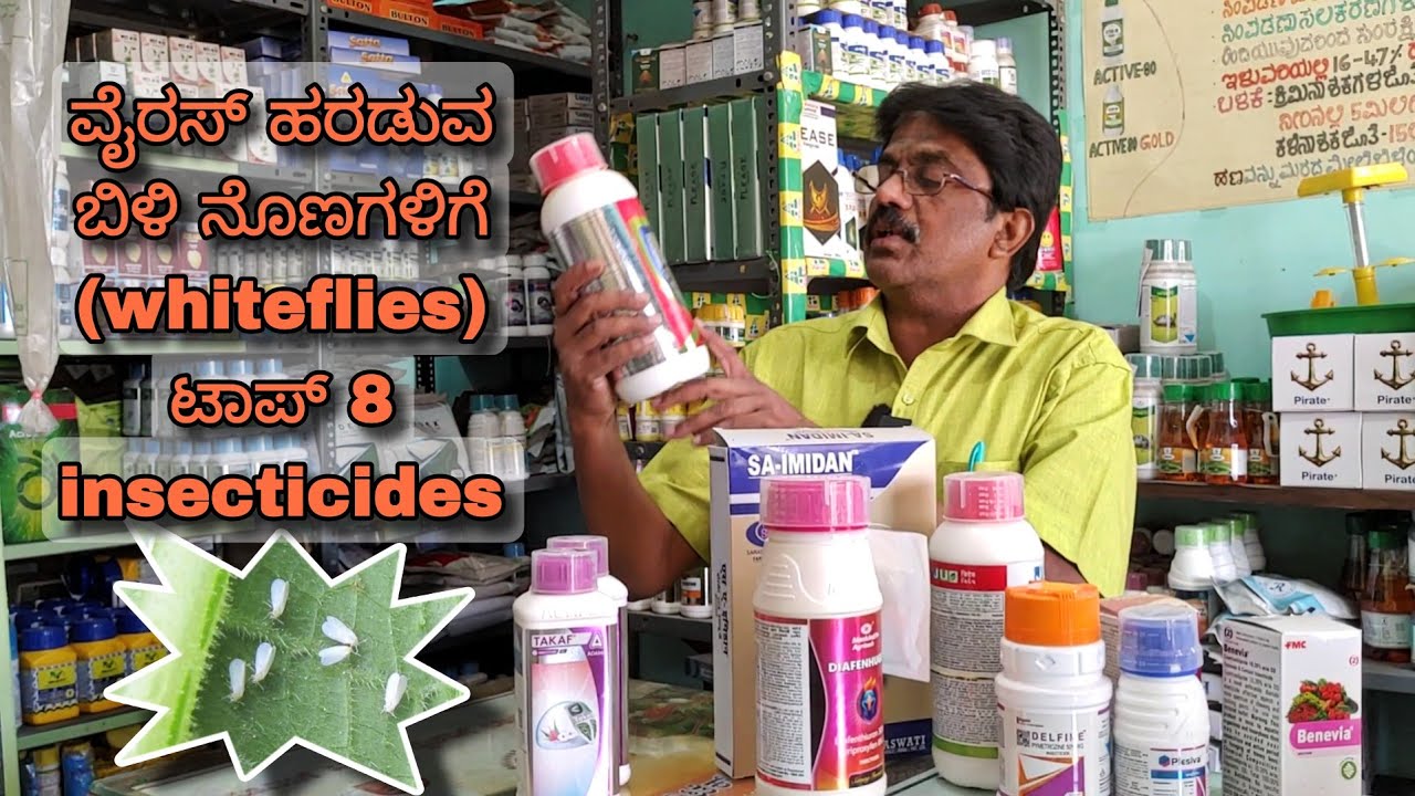 Top 8 Insecticides for VIRUS spreading WHITE FLIES | White fly control ...