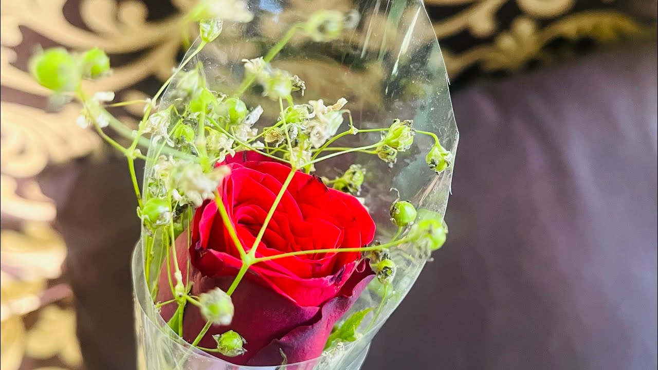 Rose day par patidev ne diya surprise 🌹🤩 || Kiyu ki nani ne bheji Kiyu ...