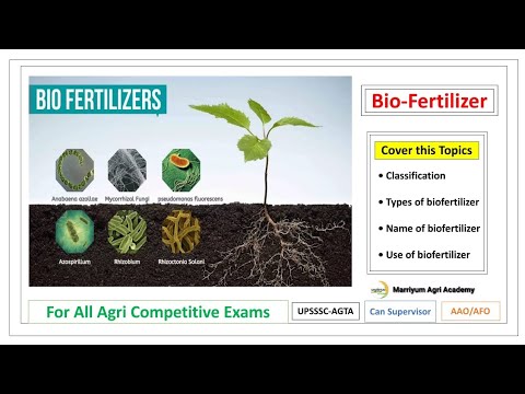 what is bio fertilizer and their classification. N-bio fertilizer, P ...