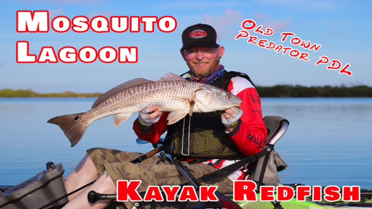 Mosquito Lagoon Redfish in a Predator PDL - YouTube