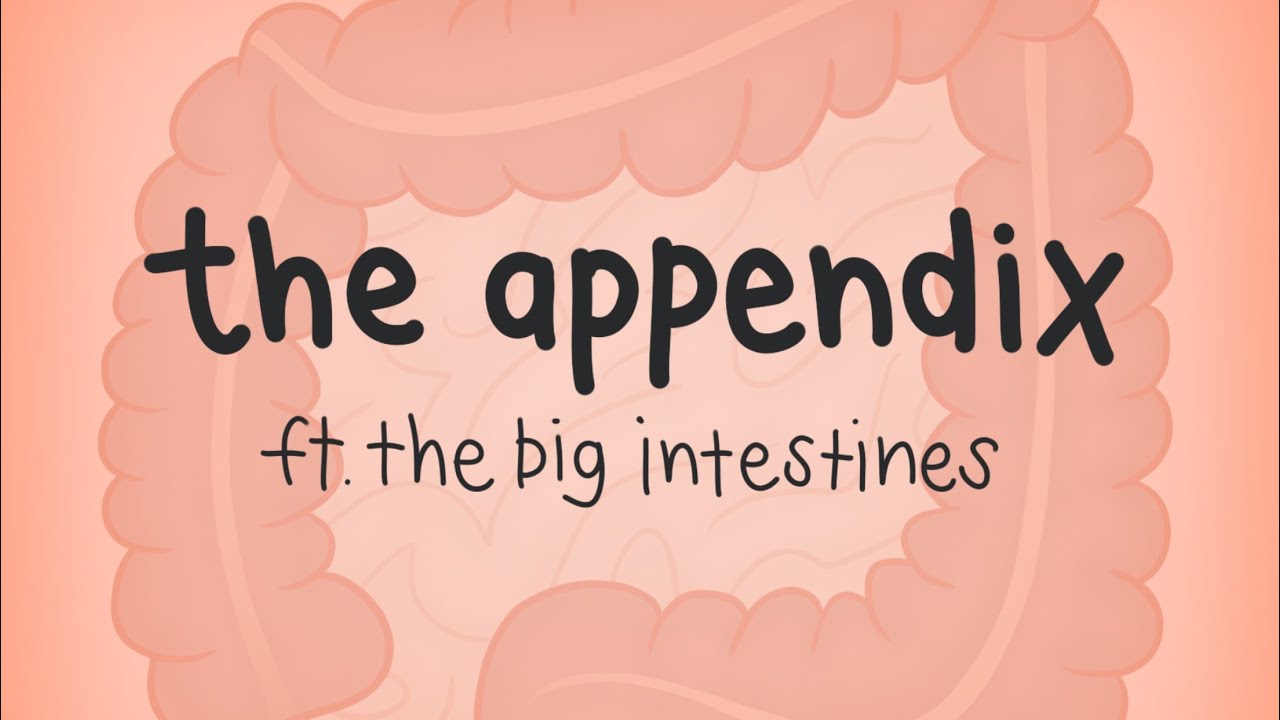 draw with me : the appendix - YouTube