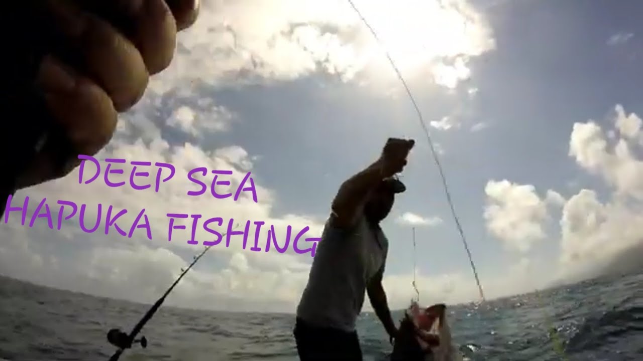 DEEP SEA HAPUKA FISHING Waihau Bay Slay Day - YouTube