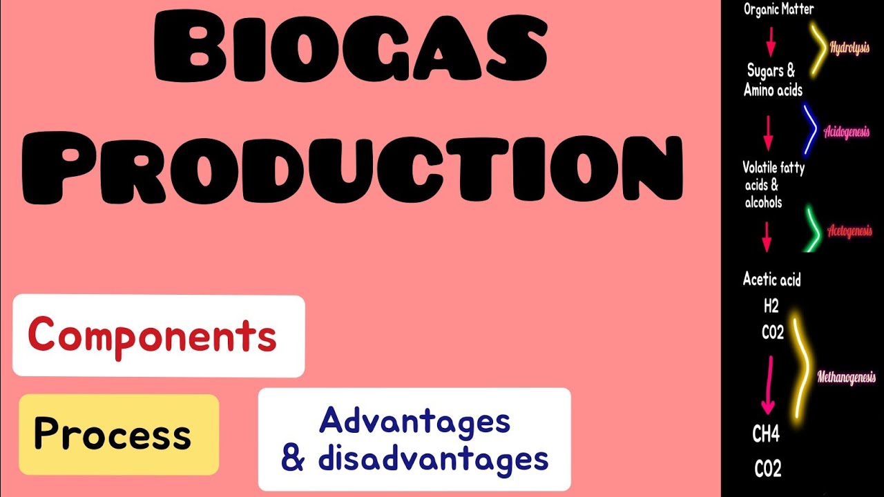 Biogas Production || Biogas Plant | Process, components , advantages ...