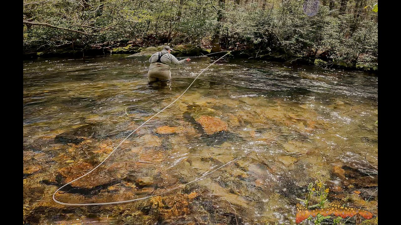Springtime fly fishing on small streams in the Smokies! - YouTube