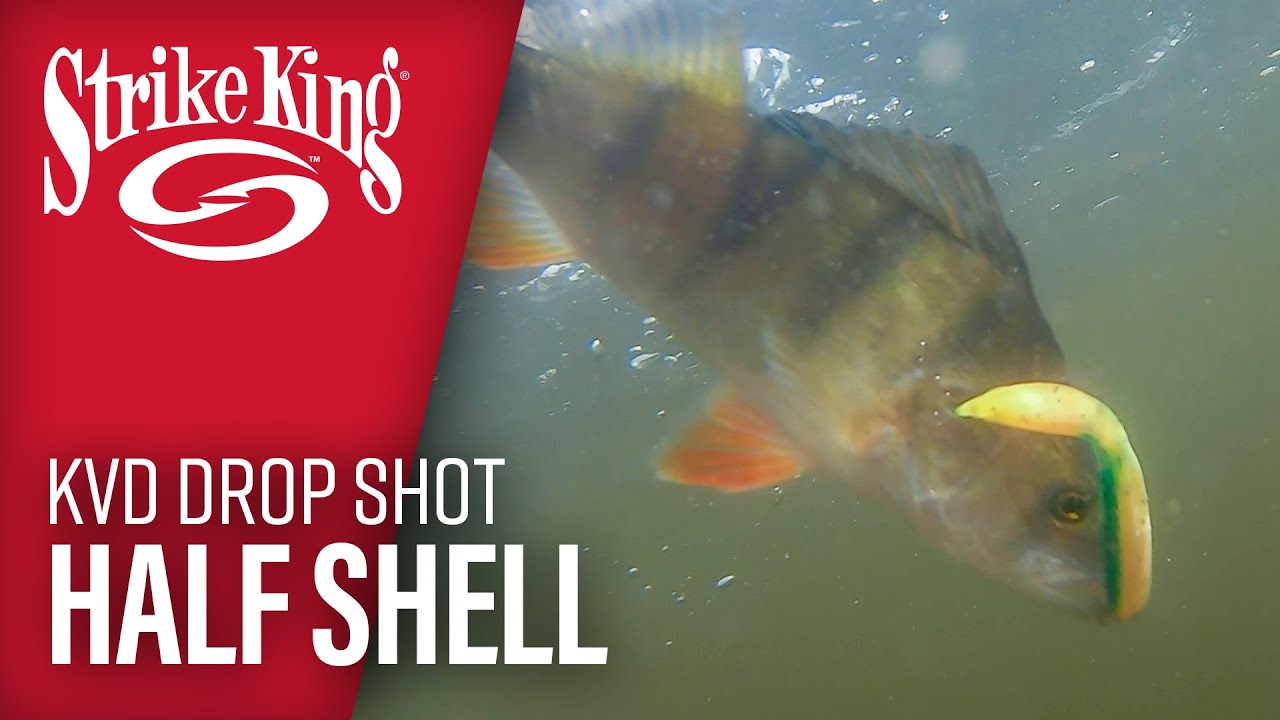 Strike King KVD Perfect Plastics Drop Shot Half Shell - YouTube