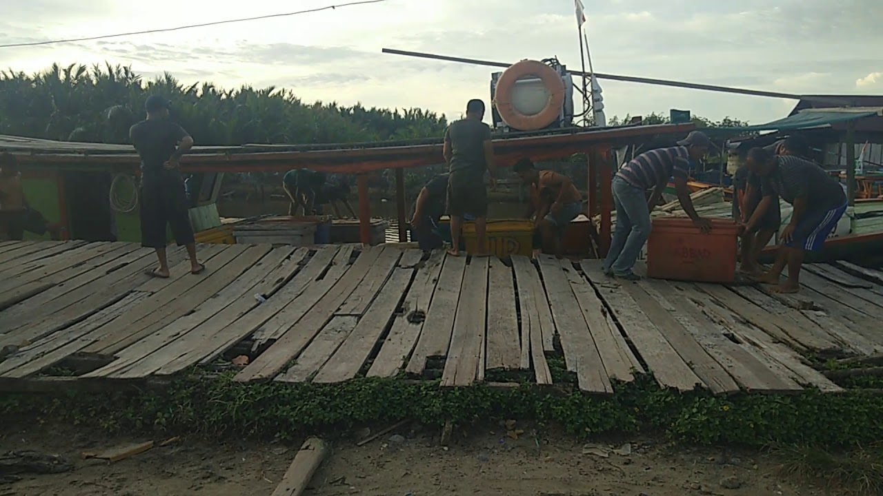 Kegiatan bongkar muat di jembatan tinggi Aceh Singkil - YouTube