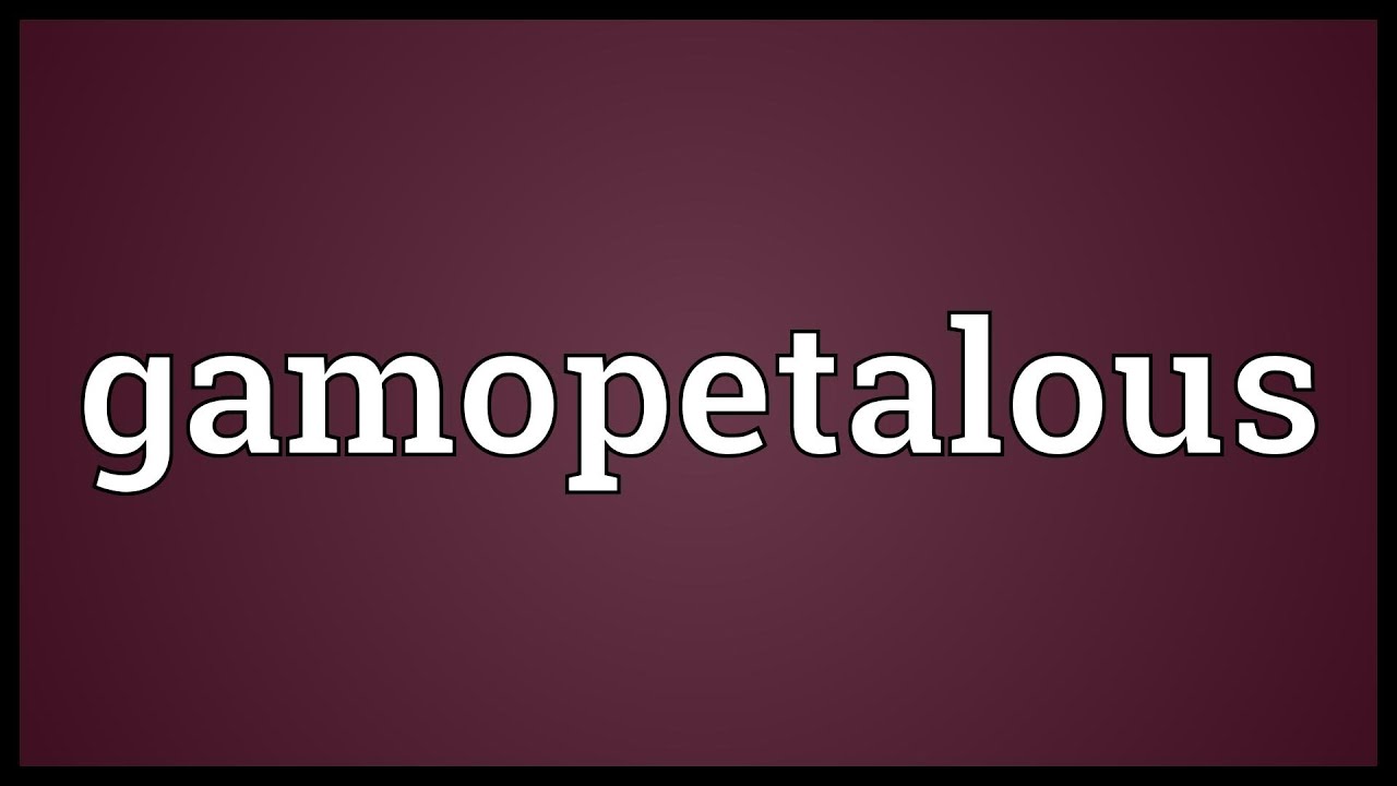 Gamopetalous Meaning - YouTube