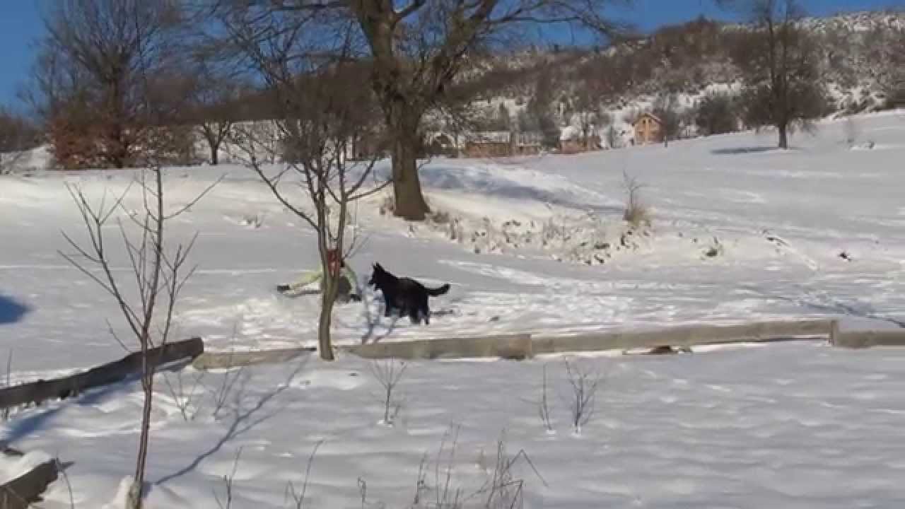 CRNI VUCIJAK - YouTube