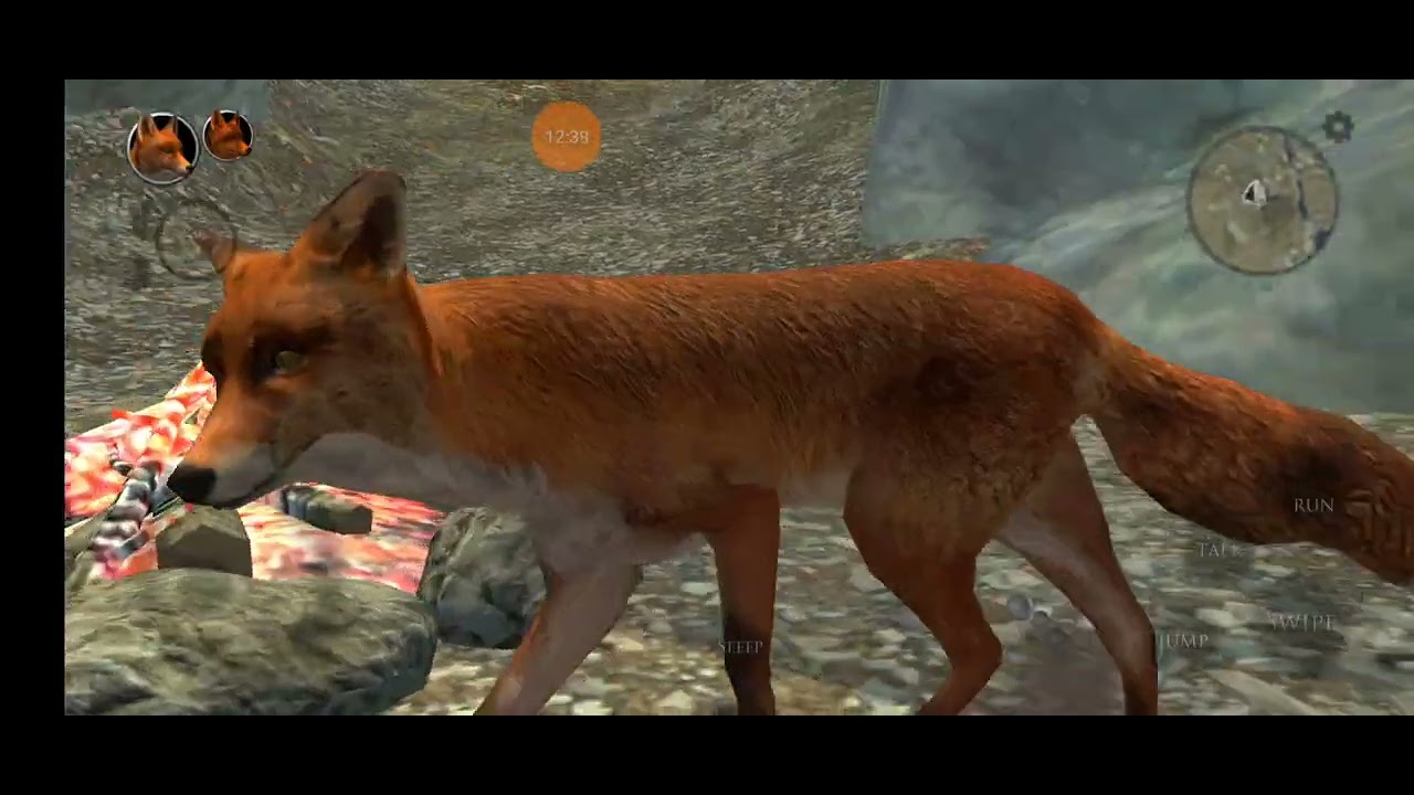 Off to the rendezvous.... already?|ultimate fox simulator 2|the gem ...