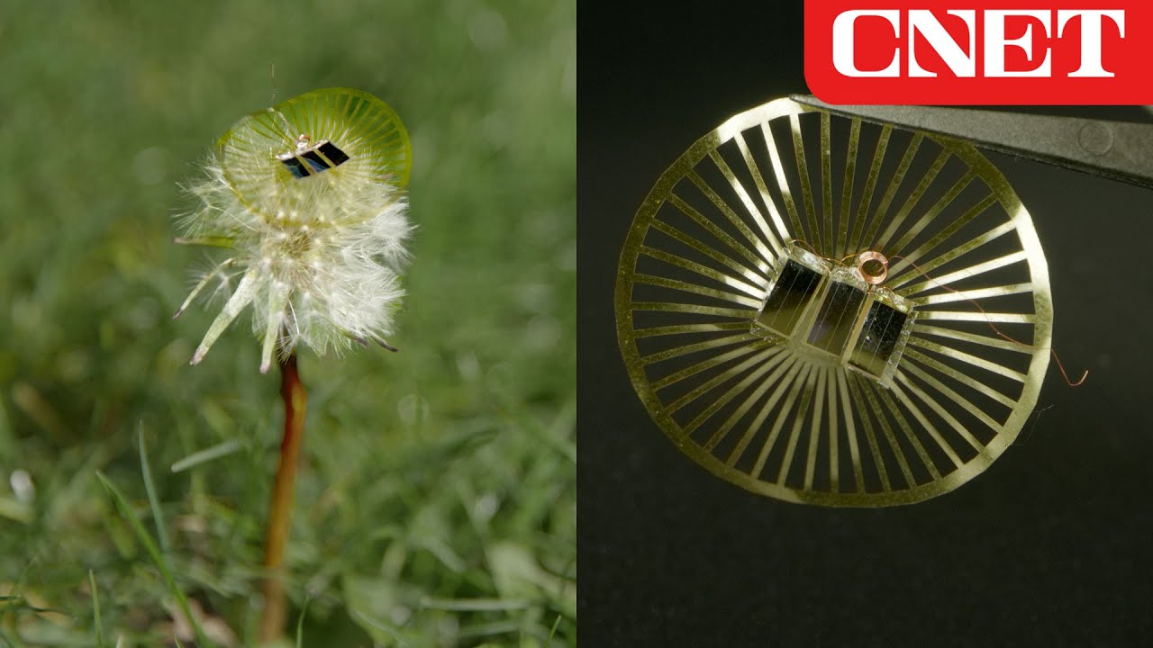 These Tiny Sensors Ride the Wind Like Dandelion Seeds - YouTube