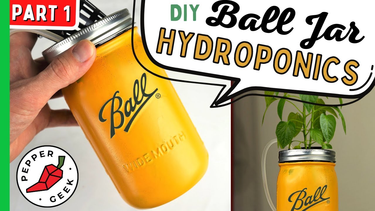 How To Make A Hydroponics Ball Jar To Grow Anything - Pepper Geek - YouTube