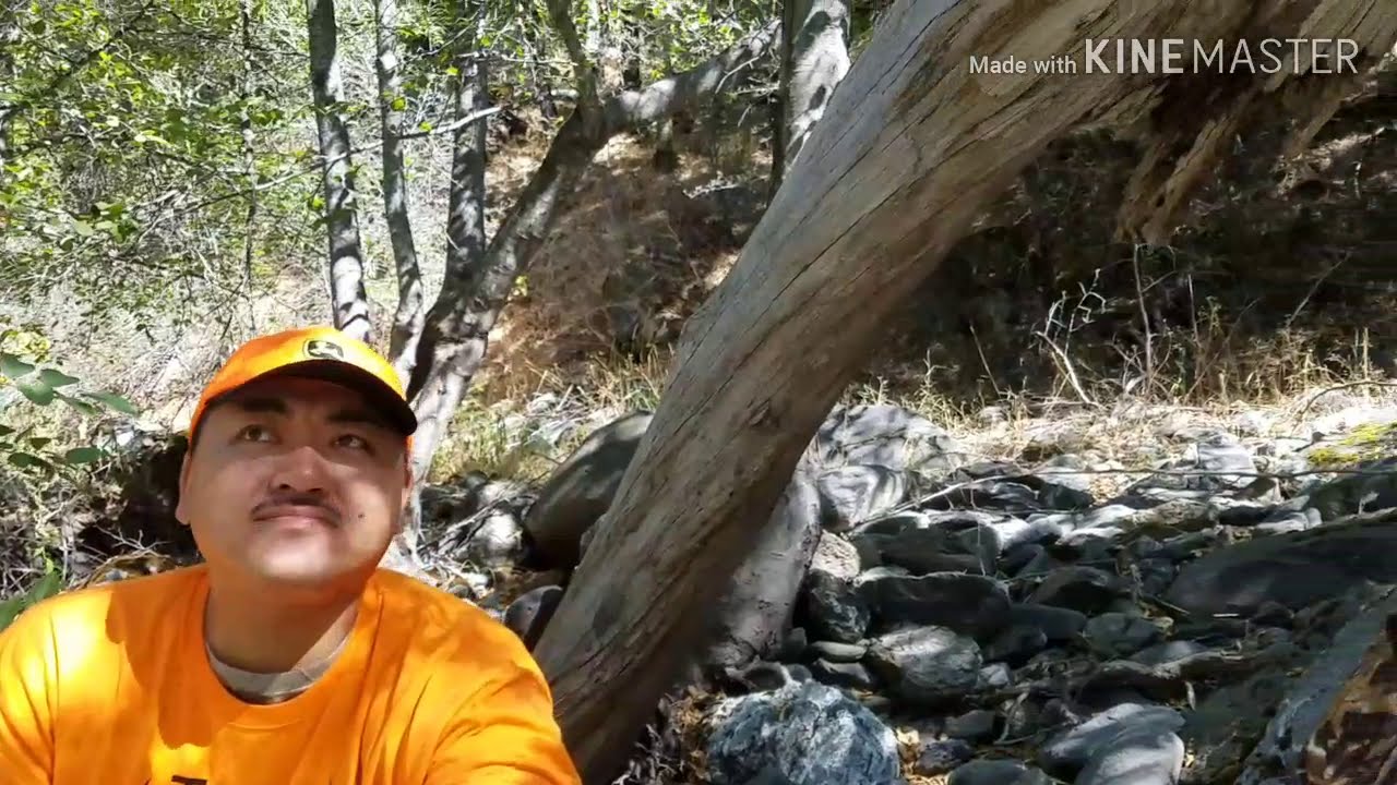 CALIFORNIA B ZONE DEER HUNTING - YouTube