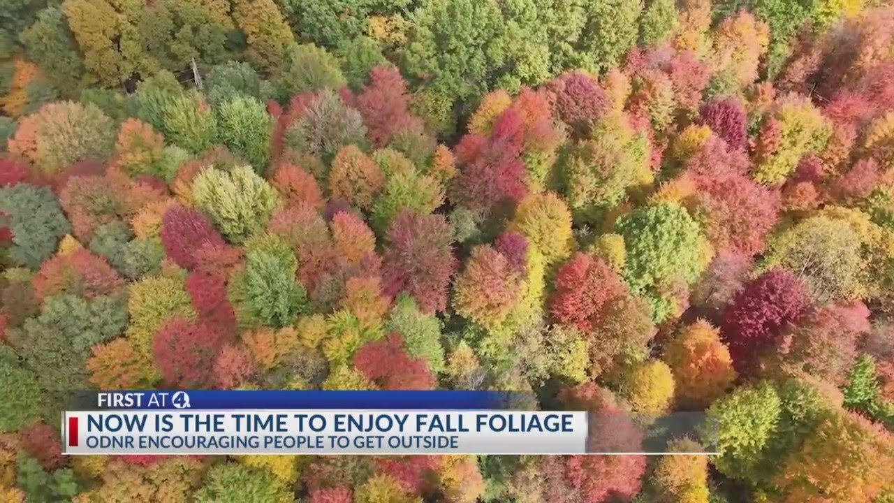 ODNR encourages Ohioans to enjoy fall foliage before it's gone - YouTube