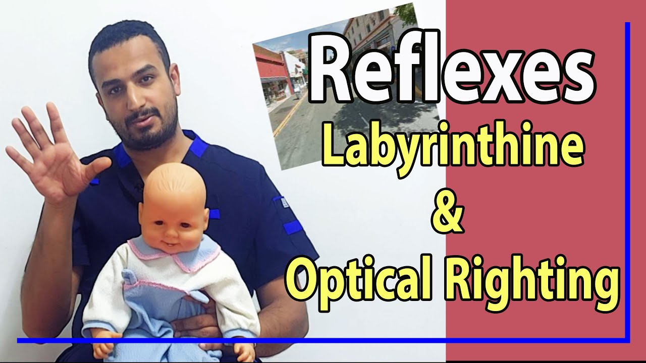 13 Difference between Labyrinthine & Optical Righting - YouTube