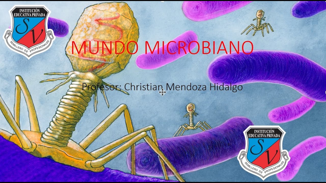 Mundo Microbiano - YouTube